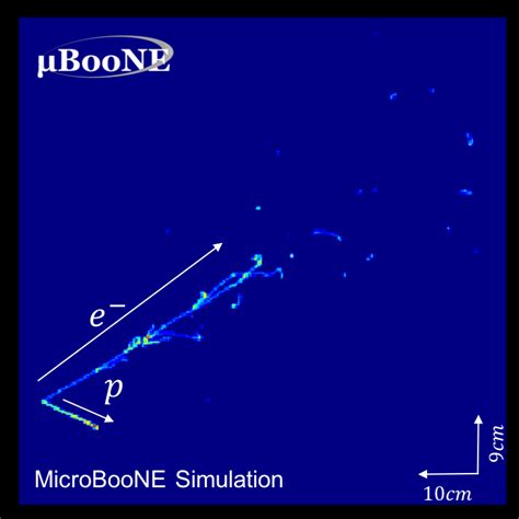 Mpid Example Of An 1e 1p Topology With A Tabulated Output Of Particle