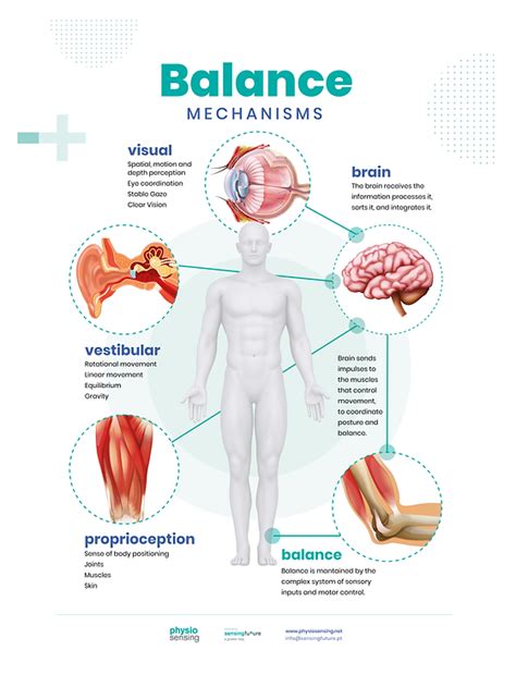 Modified Clinical Test Of Sensory Interaction In Balance Mctsib How To Perform And Interpret