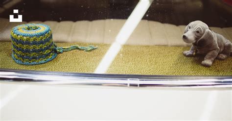 녹색과 파란색 직물에 누워있는 흰색과 검은 색 개 사진 Unsplash의 무료 뉘른베르크 이미지