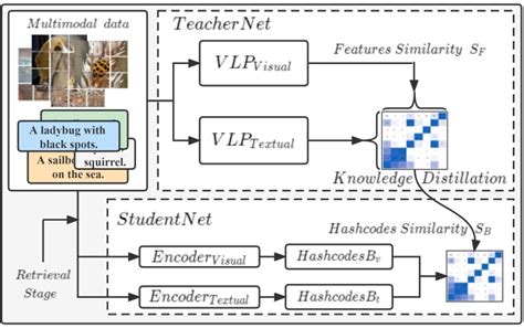 Learning From Expert Vision Language Knowledge Distillation For