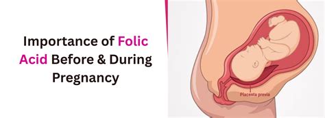 Importance Of Folic Acid Before And During Pregnancy