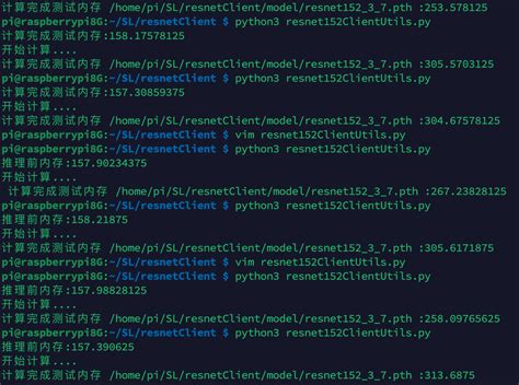 how to measure the memory of a raspberry pi program when running pytorch r raspberry pi