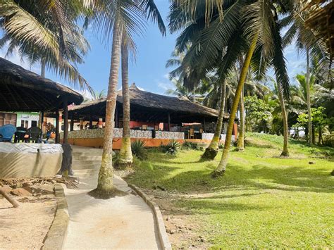 Mabels Table Tortoisepath