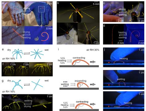 Bioinspired Soft Robots Based On Organic Polymer Crystal Hybrid Materials With Response To