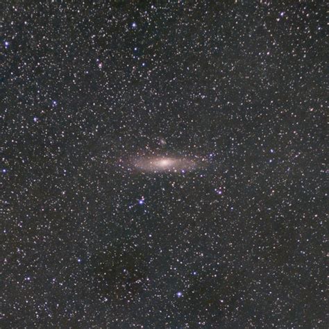 Widefield Andromeda Astrobin