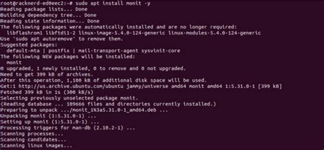 Installing And Configuring ‘monit To Automate Server Monitoring And Maintenance — Racknerd