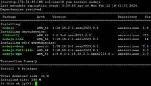 How To YUM Install Node JS On Amazon Linux GeeksforGeeks