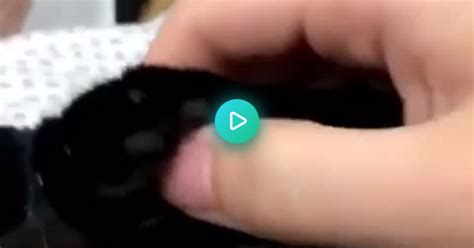 Murder Mitten Album On Imgur