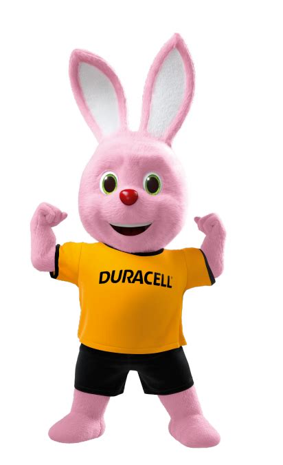 듀라셀 Aa 건전지 울트라 및 디럭스