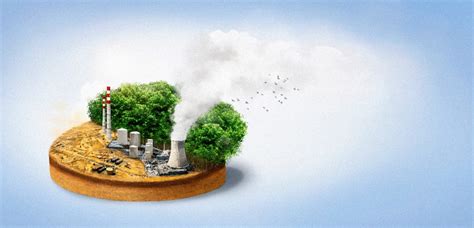 Introduction To Carbon Offsetting Taking Steps Towards A Sustainable