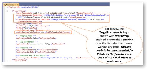 Net Maui Developer Thoughts