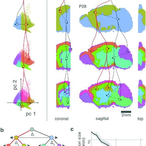 Hierarchical Decomposition Of Expression Data Generated By Simulation Download Scientific