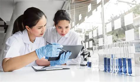 Career Progression After 2025 The Scientist Training Programme From