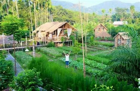 ศูนย์รวมความรู้เกษตรพอเพียง วิธีแบ่งพื้นที่ 1 ไร่ หายจน