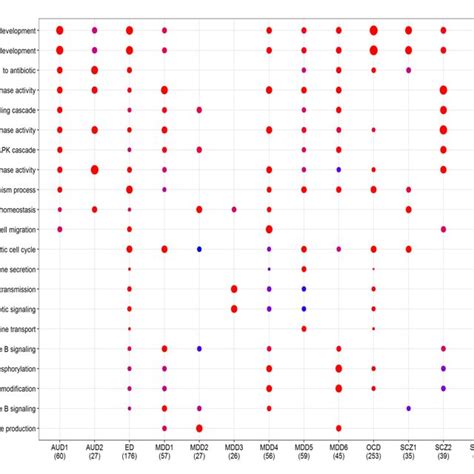 The Bar Plot Shows The Biological Process Download Scientific Diagram