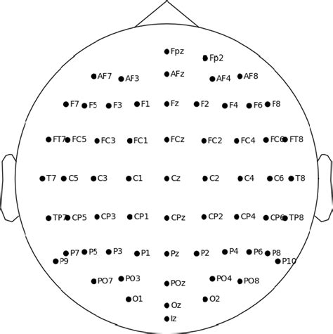 Figure 1 From Convolutional Neural Network Based Models For Identification Of Brain State