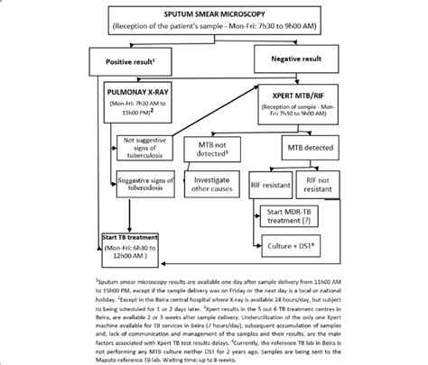 Current Flowchart For Tb Diagnosis In Beira City Download Scientific Diagram