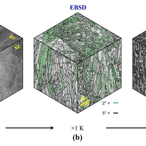 Obtained Results Of Microstructural Characterization Of An Ab Sample