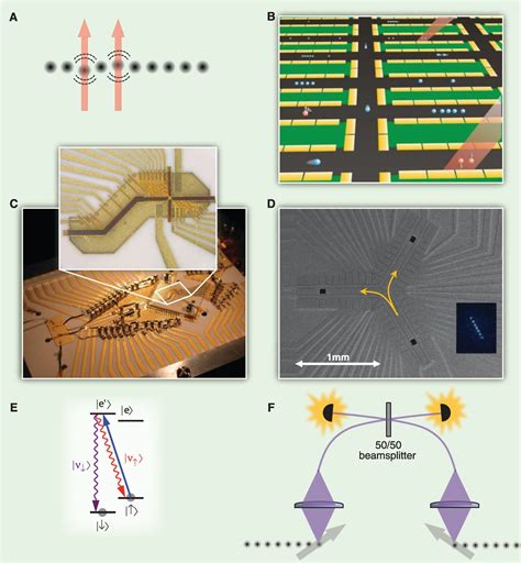 Scaling The Ion Trap Quantum Processor Science