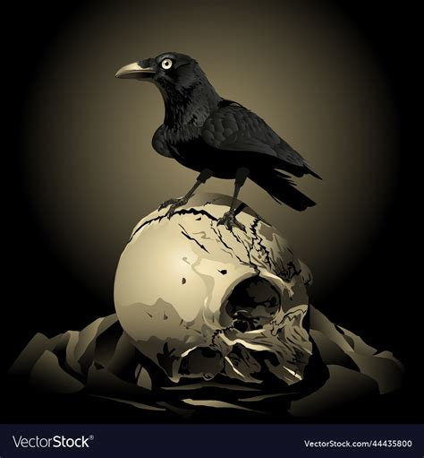 Crow With Skull Raven On A Broken Skull Royalty Free Vector