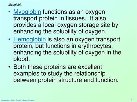 Ppt Oxygen Transport Proteins Myoglobin And Hemoglobin Powerpoint