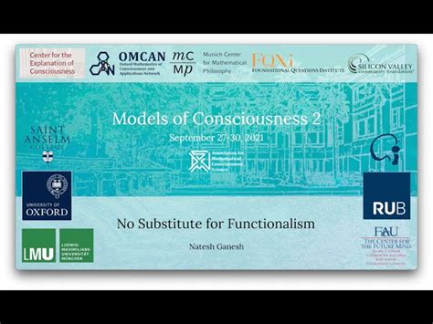 Free Video No Substitute For Functionalism From Models Of Consciousness Conferences Class Central