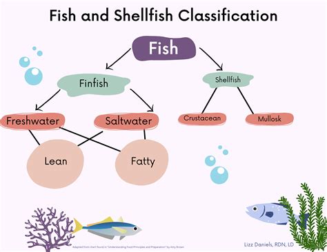 Scientific Classification Of Fish