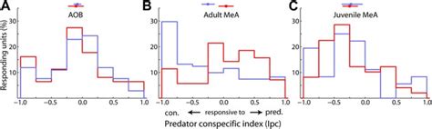 Figures And Data In Sex Specific Processing Of Social Cues In The