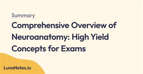 Comprehensive Overview Of Neuroanatomy High Yield Concepts For Exams