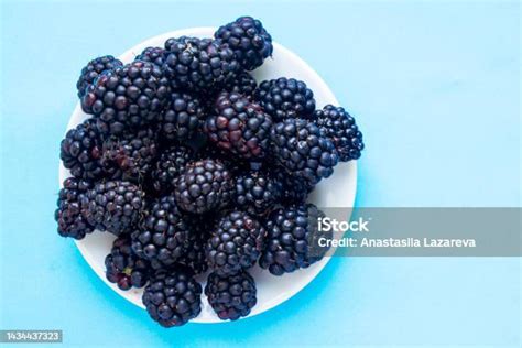 블랙베리 파란색 배경에 흰색 접시에 익은 블랙 베리 블랙 베리의 사진 열매는 별도로 누워 있습니다 유용한 베리 비타민 플랫 레이 공간을 복사합니다 0명에 대한 스톡 사진 및