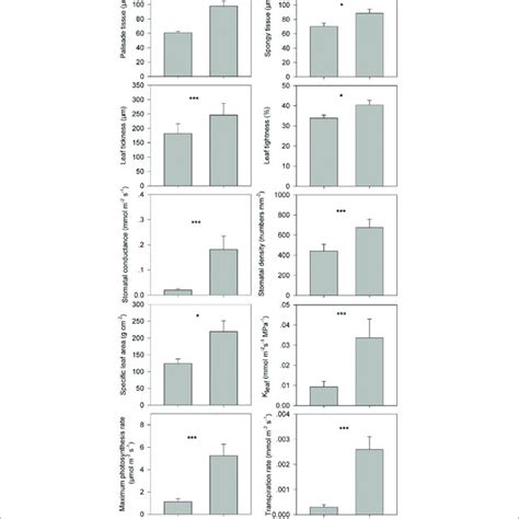 Principal Component Analysis Pca Of The Ten Functional Traits Download Scientific Diagram
