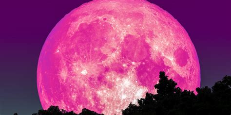The Pink Full Moon In Scorpio April 26th 27th Improves Relationships