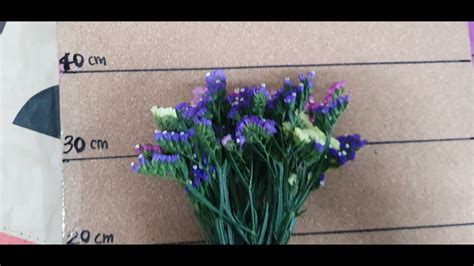 스타치스혼합2 생화 인터넷꽃도매시장 생화택배 생화도매 인터넷꽃시장 인터넷꽃도매 장미대량구매 꽃 꽃다발 꽃도매 꽃시장 부산꽃시장 김해꽃시장 꽃쇼핑몰 김해꽃 부산꽃 꽃싸게사는법