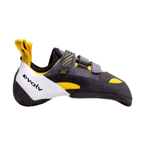 Evolv Shaman Cityrock Bookings