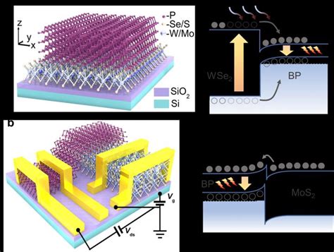 Black Phosphorus Based Van Der Waals Heterostructures For Mid Infrared