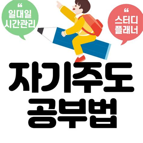 고양 자기주도학습 과외 학습컨설팅 고양 공부컨설팅 11 일대일 수행평가 공부계획 스터디플래너
