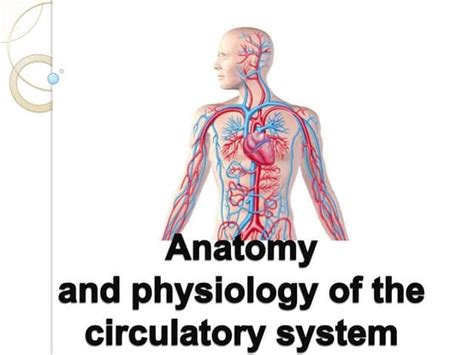 Cardiovascular System Cpt Coding Pptx