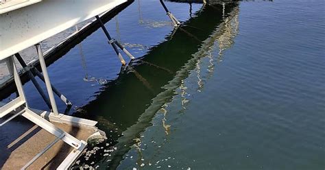 Clarifier Back To Normal With Minimal Scum Album On Imgur