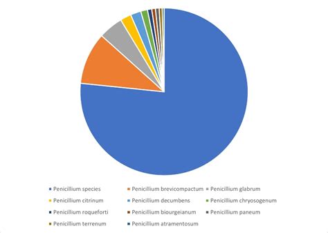 Fungal Isolates Identifying The Usual Suspects