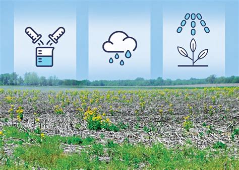 9 Keys For Effective Residual Use Agweb