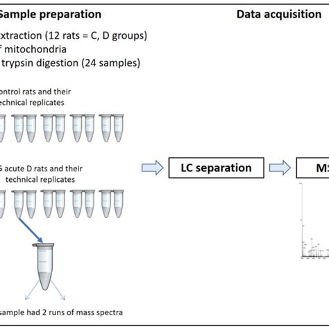 Mutual Protein Interactions Among The Proteins Identified As Being
