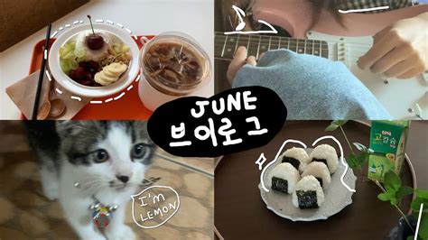 Vlog 2021년 절반이 끝났다니 말도안돼 그러니깐 저의 6월 브이로그 봐주세요😍ㅣ라이스페이퍼 떡볶이ㅣ일렉기타 Youtube