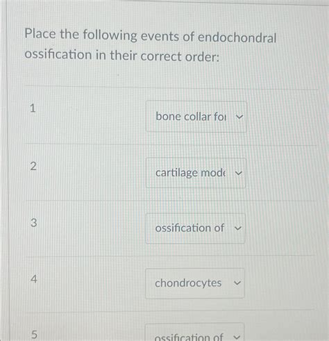 Solved Place The Following Events Of Endochondral