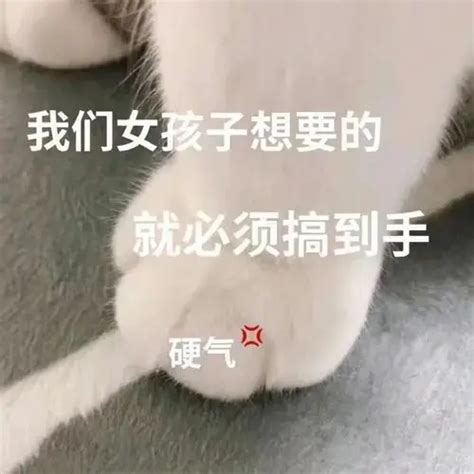 Python实战之小说下载神器（一）看小说怎么能少了这款宝藏神器呢？全网小说书籍随便下，随便看，爆赞（你准备好了吗？） 知乎