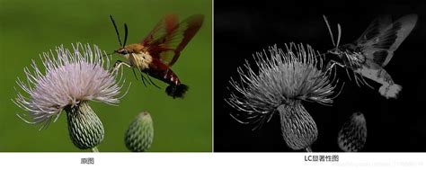 Opencv—python 图像显著性检测算法—hcrclcftac显著性检测python Csdn博客