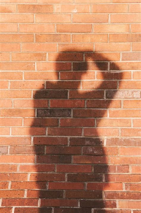 집 밖의 개요 거리 사진 건축 관념적인 구성 그림자 그림자 놀이 기하학적 낮 뉴욕 뉴욕 실루엣 단순한