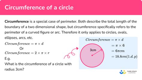 Examples Of Circumference And Its Applications