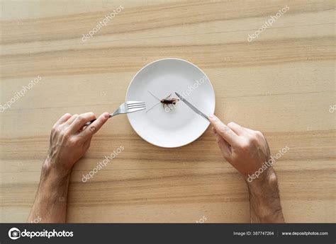 Top View Man Eating Cockroach Cockroach White Plate Kitchen Table