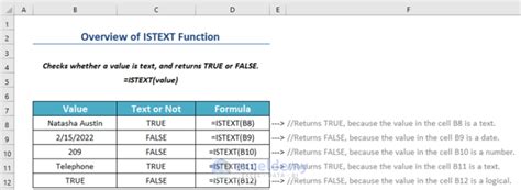 How To Use Istext Function In Excel 8 Suitable Examples
