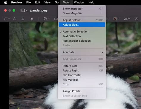How To Resize Images To Make Them Smaller For A Faster Website